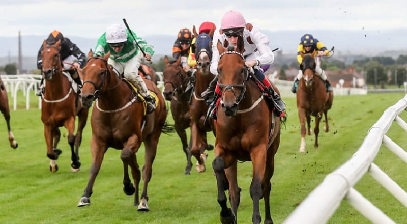 August race winners make speedy return to Carlisle - cumbriacrack.com