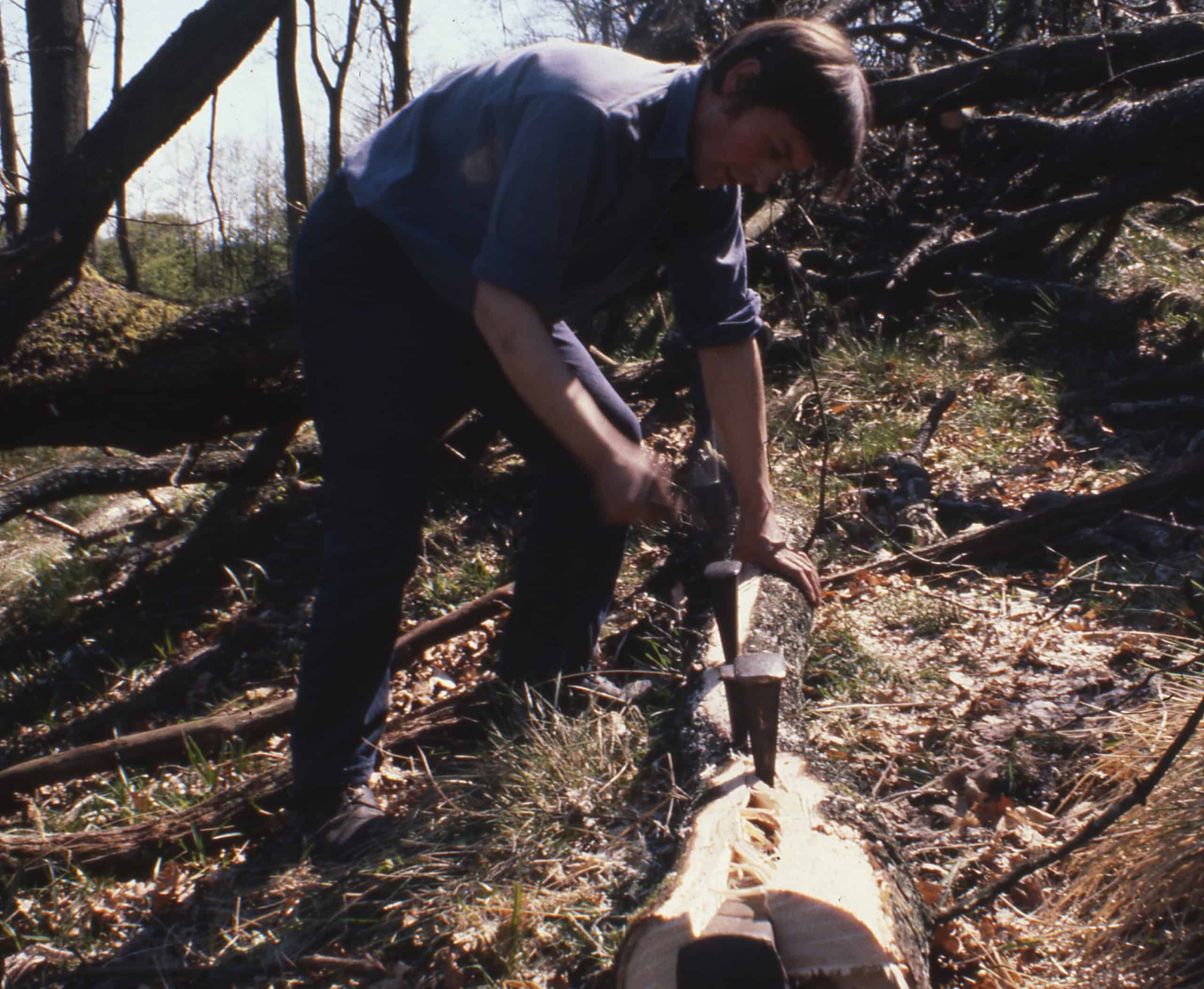 David Nash returns to Grizedale with a solo show: Return to the Forest ...