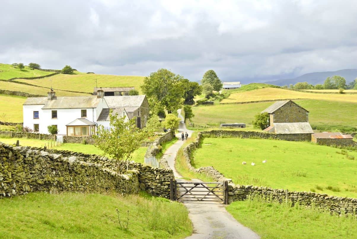 Need agricultural planning advice? PFK has the expertise – cumbriacrack.com