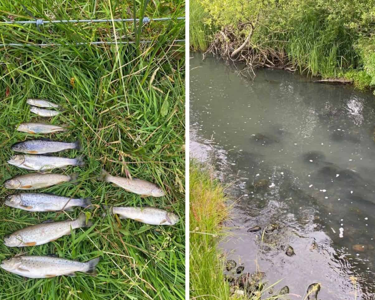 Windermere pollution claims features in BBC Panorama investigation ...