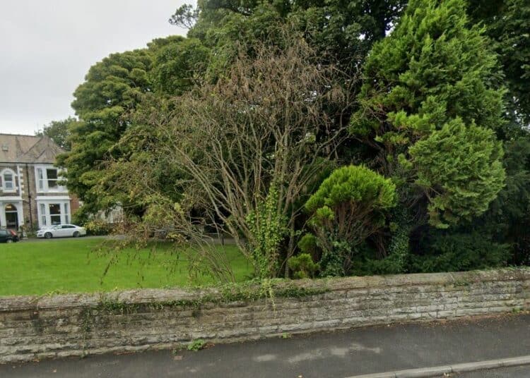 Cumbria Crack : Breaking News for Penrith, Cumbria, Carlisle, Lake District