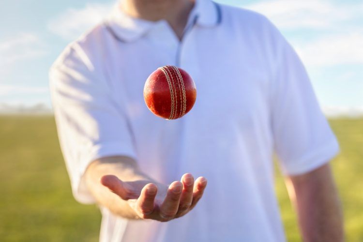 New pool of professionals for Cumbria cricket – cumbriacrack.com