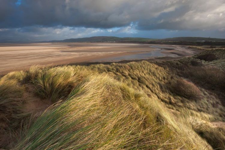 Nature charities join forces to object to South Cumbrian £100 million ...