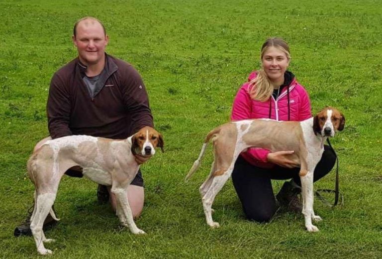 Final meeting for hounds at Wardhall - cumbriacrack.com